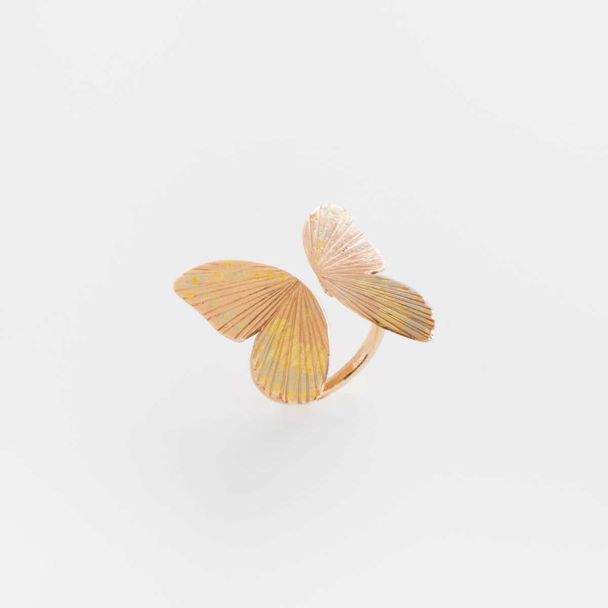 RINGS – JAMES BANKS